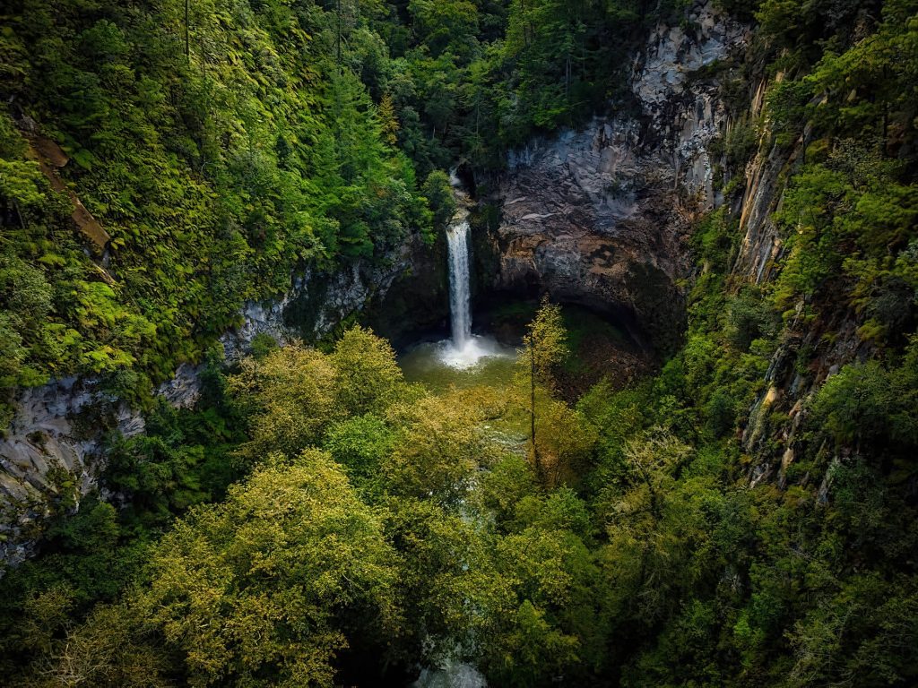 Apulco, un paraíso poblano - The Puebla Times