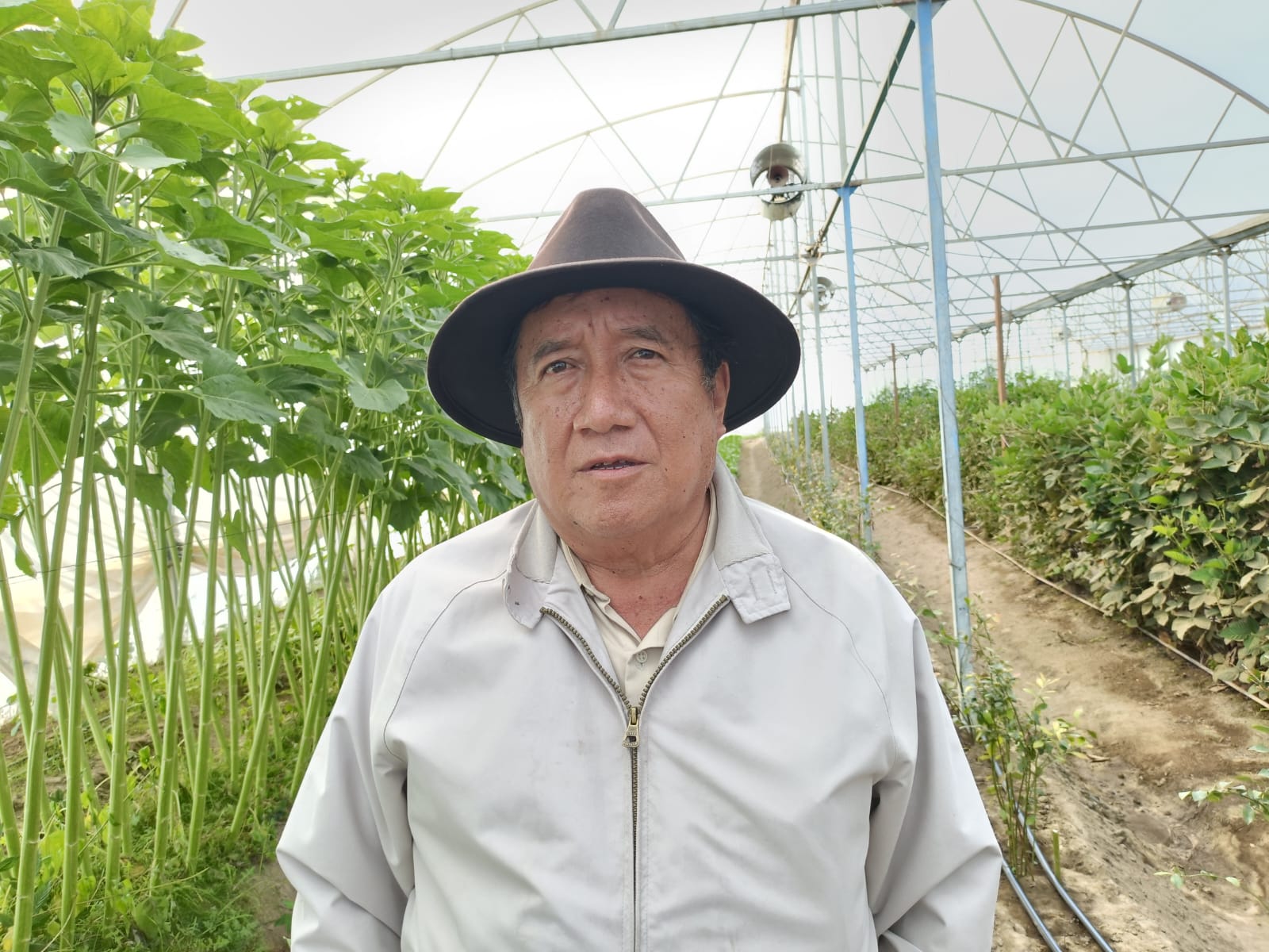 Trabaja Tec de Ciudad Serdán en mecanismos que combate sequía sin ...